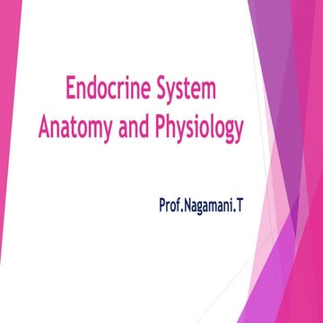Anatomy & Physiology of Endocrine System.pptx