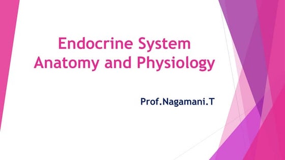 Neuroendocrine system and Neurosecretion | PPT