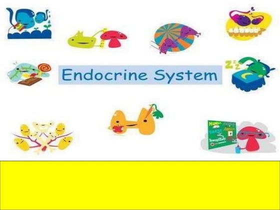 Endocrine System Cartoon 24 The Female Endocrine System Silhouette
