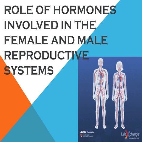 ENDOCRINE SYSTEM science 10 powerpoint ppt | PPT