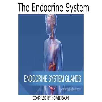 Endocrine System - Organs.pptx