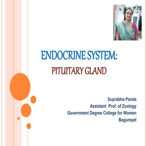 Endocrine system pituitary gland | PPTX