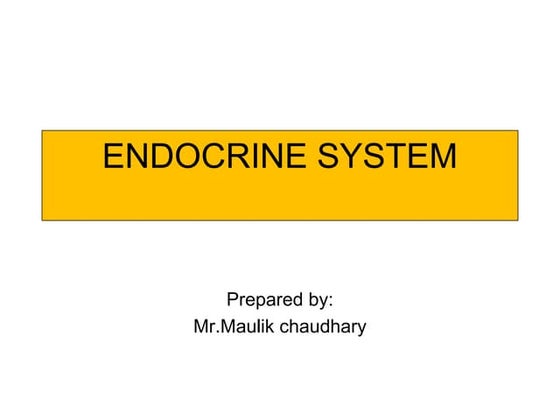 Endocrine System Anatomy | PPT