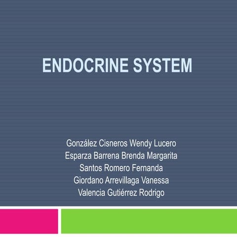 Endocrine system | PPT