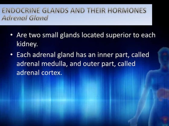 ADRENAL GLANDS & THEIR HORMONES WITH FUNCTION.pptx