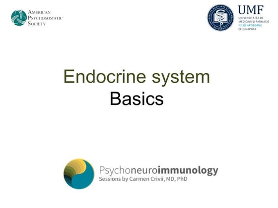 Endocrine System Anatomy | PPTX