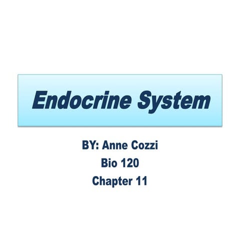 The endocrine system kids version | PPT