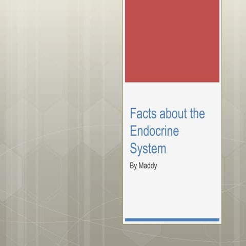 Endocrine System Facts | PPTX