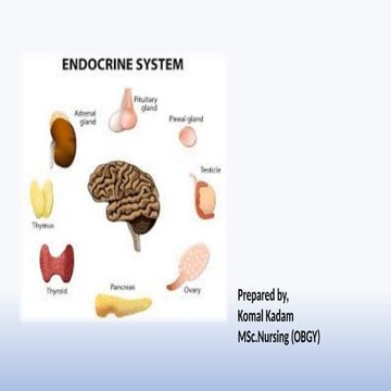 spinal shock vs neurogenic shock (1).pptx
