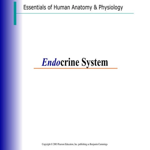 Endocrine system PowerPoint presentation | PPT