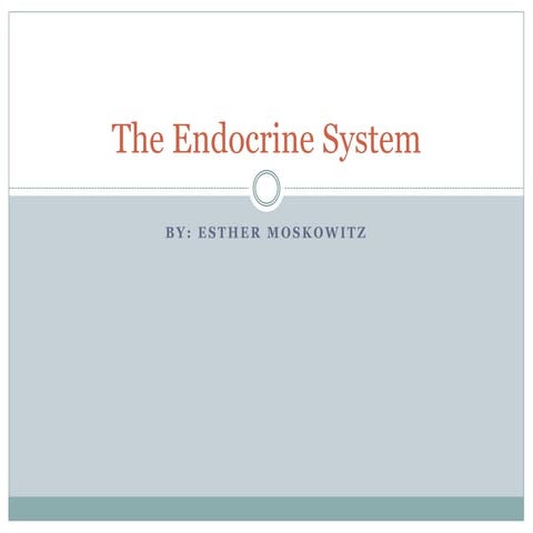 Endocrine system medical terminology | PPTX