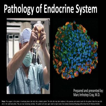 Endocrine System Pathology_ Ppt Lecture Series (5 in 1) | PDF