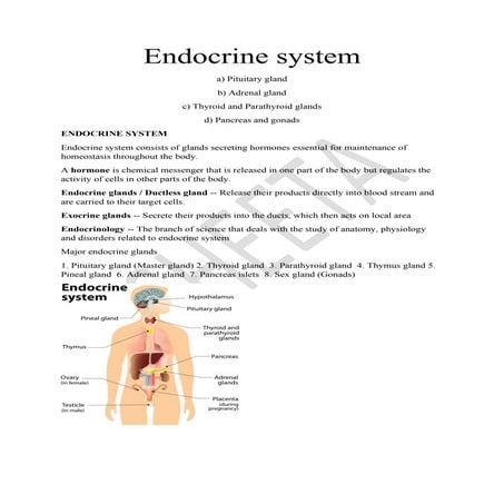 Endocrine system pharm D.pdf