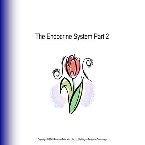 Endocrine system pt 2 | PPTX