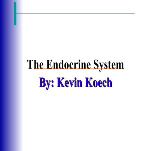 Endocrine system slides posterior and anterior | PPT