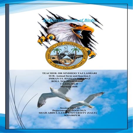 Endocrine systems of birds | PDF