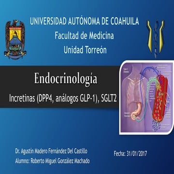 Seamless growth from 1G to 10G services with the ADVA FSP 150-XG108 ...