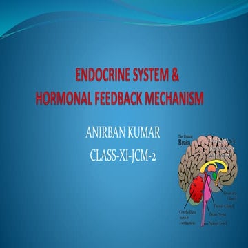 Endocrine System and hormonal feedback mechanisms | PPTX