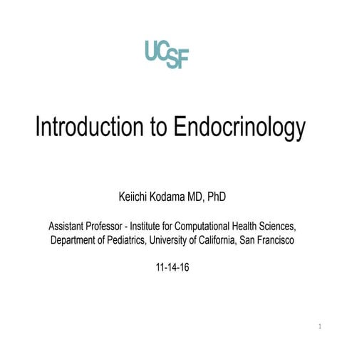 Endocrine system activity | DOCX