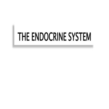 Endocrine System Anatomy | PPTX