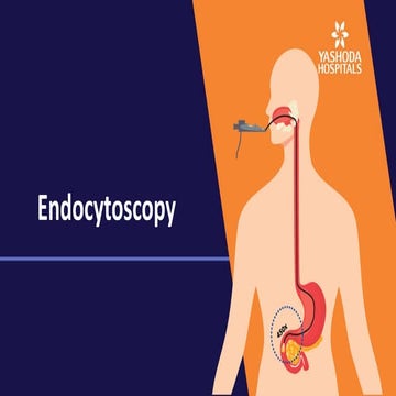 Endocytoscopy Procedure | PPTX | Surgery | Medical Health