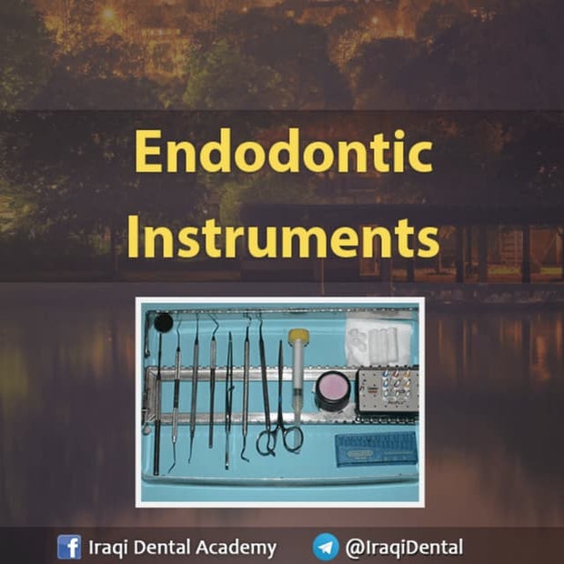 Basic Endodontic Instruments Presentation | PDF