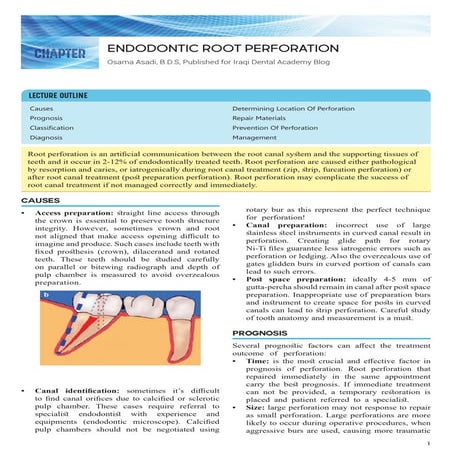 Endodontic Root Perforation: Causes, Identification, and Management ...