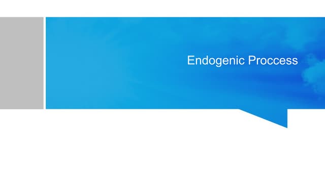 Endogenic processes - The Process Within | PPTX