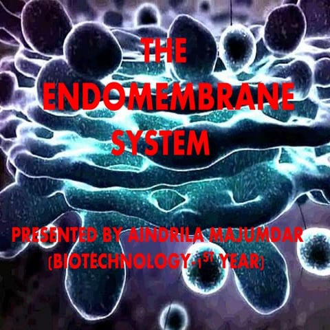 Endomembrane system presentation | PPTX