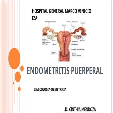 CUIDADOS DE ENFERMERIA EN ENDOMETRITIS 2022.pptx
