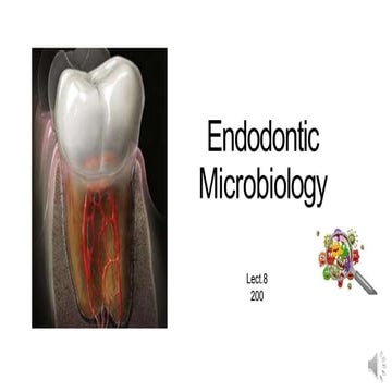 Endo microbiology bm | PPTX