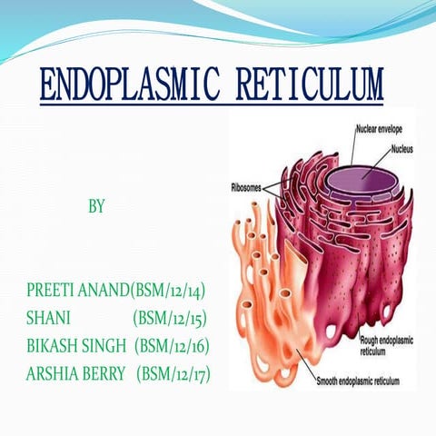 Structure and functions of endoplasmic reticulum | PPTX