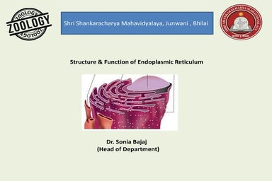 Structure And Functions Of Endoplasmic Reticulum PPT, 40% OFF