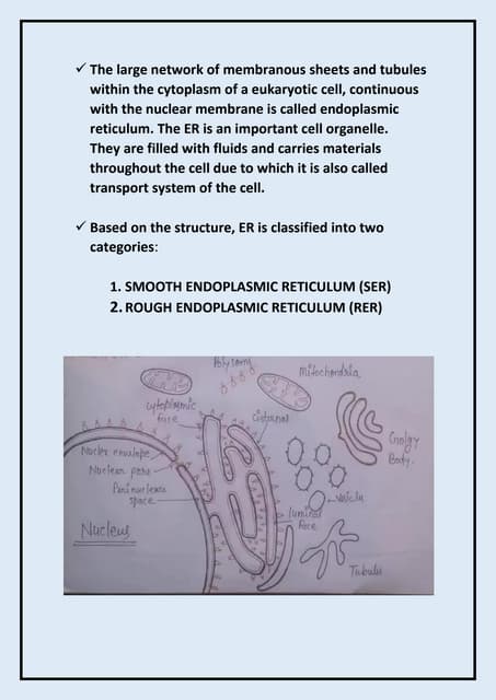 Endoplasmic reticulum | PPTX