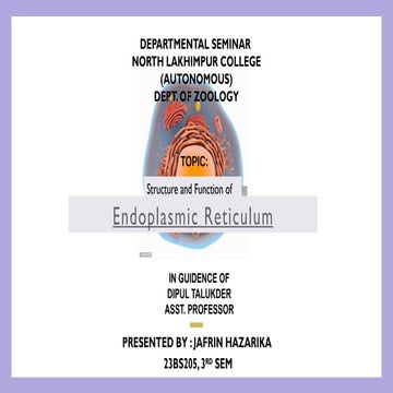 Endoplasmic reticulum of human beings.ppt