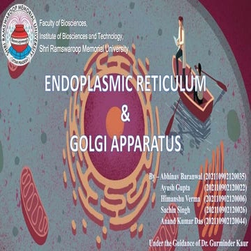 Endoplasmic Reticulum and Golgi Apparatus.pptx