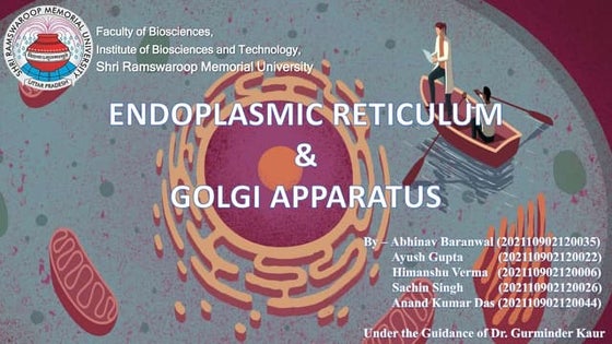 Structure and function of endoplasmic reticulum and golgi.pptx
