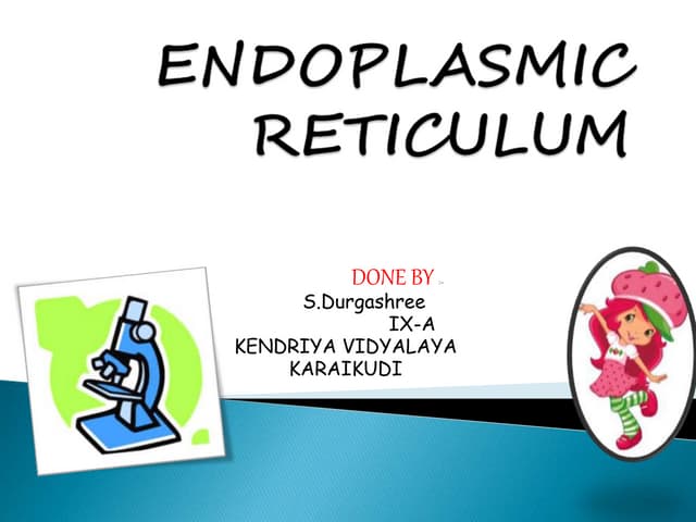 Mitochondria and ATP production | PPTX