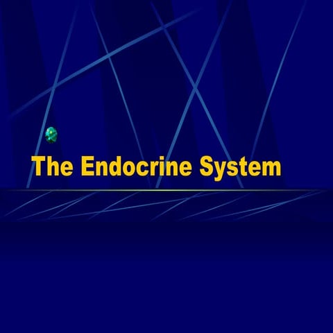 The Endocrine System | PPT