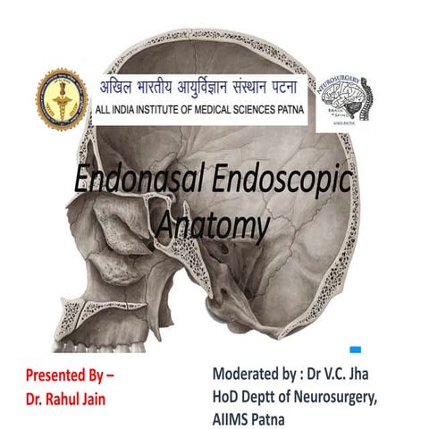 Endoscopic Endonasal Anatomy.pptx