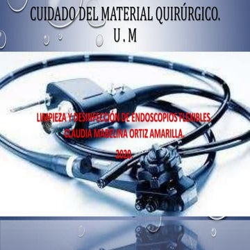 Endoscopio flexible | PPTX