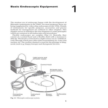 Endoscopy chapter | PDF