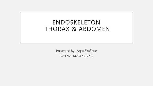 Insect thorax and abdomen | PPTX