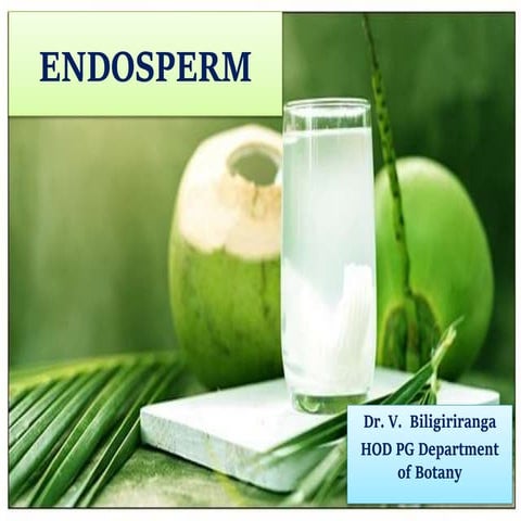 ENDOSPERM.pptx