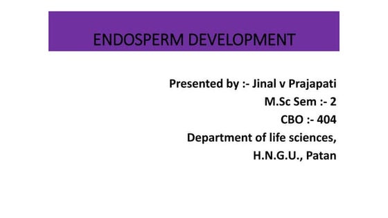 Endosperm | PPTX