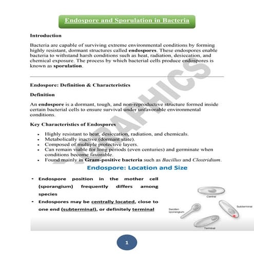 Endospore and Sporulation in Bacteria for Biotechnoly & Botany SEM-3 | PDF