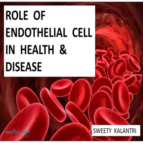 Endothelial cell in health & disease seminar | PPTX