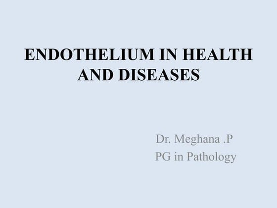 Endothelial vs. Epithelial Cells: A Comparative Insight into Cellular ...