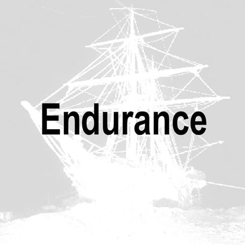 Endurance | PPT