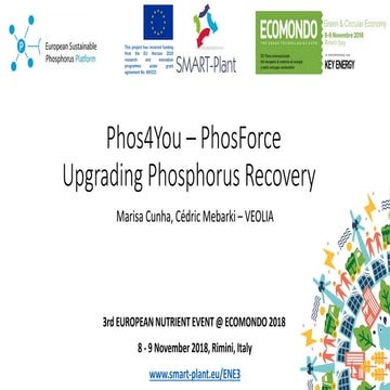 ENE3 - Phos4You and PhosForce: Upgrading phosphorus recovery - Marisa ...